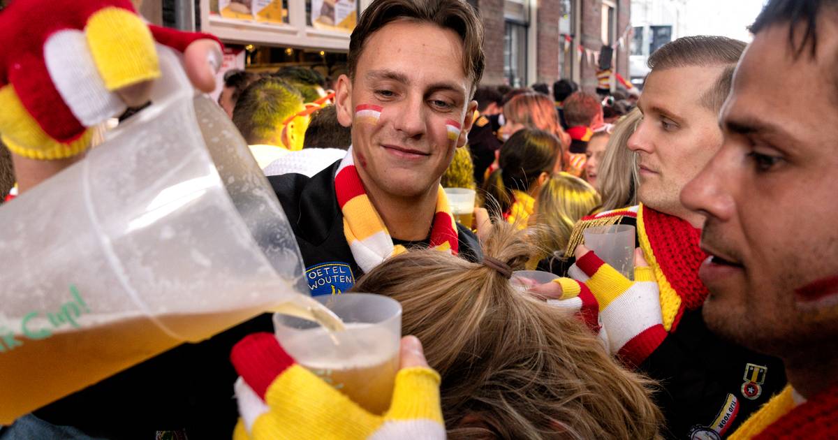 4 manieren om je kater te bestrijden tijdens carnaval | Oetelstore.nl